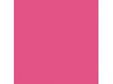 Gala Pink SW6579 Paint by Sherwin-Williams - modlar.com