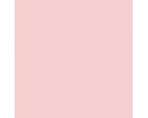 Gracious Rose SW6317 Paint by Sherwin-Williams - modlar.com