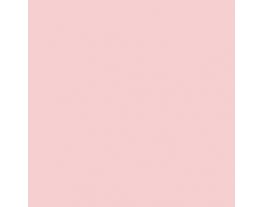 Gracious Rose SW6317 Paint by Sherwin-Williams - modlar.com