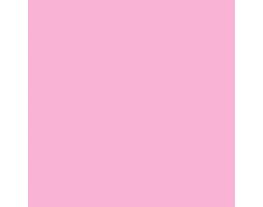 Haute Pink SW6570 Paint by Sherwin-Williams - modlar.com