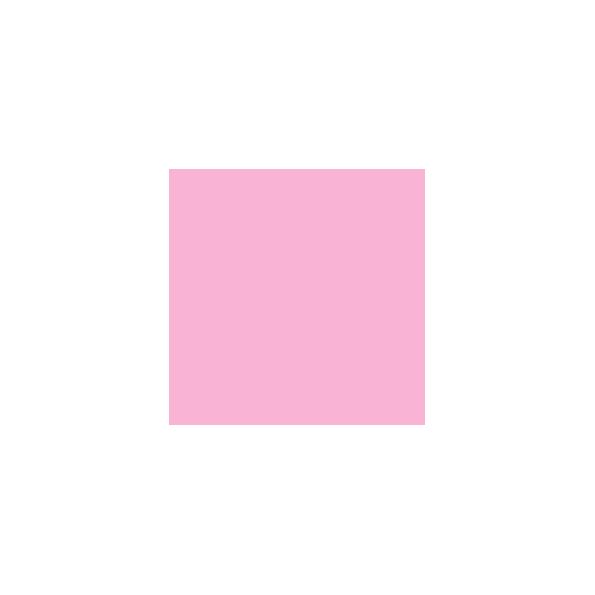 Haute Pink SW6570 Paint by Sherwin-Williams - modlar.com