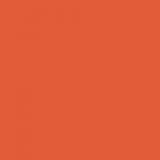 Hearty Orange SW6622 Paint by Sherwin-Williams - modlar.com