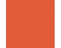 Hearty Orange SW6622 Paint by Sherwin-Williams - modlar.com