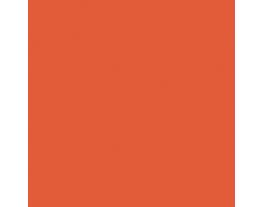 Hearty Orange SW6622 Paint by Sherwin-Williams - modlar.com