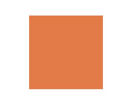 Husky Orange SW6636 Paint by Sherwin-Williams - modlar.com