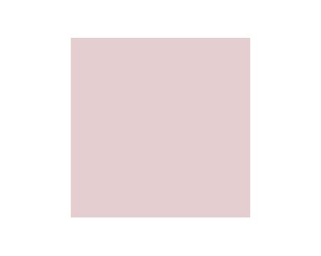 Insightful Rose SW6023 Paint by Sherwin-Williams - modlar.com