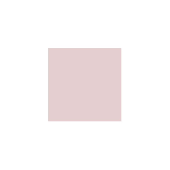 Insightful Rose SW6023 Paint by Sherwin-Williams - modlar.com