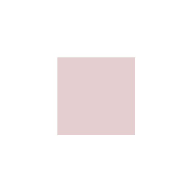 Insightful Rose SW6023 Paint by Sherwin-Williams - modlar.com