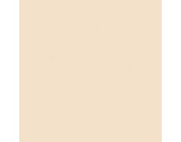 Interactive Cream SW6113 Paint by Sherwin-Williams - modlar.com