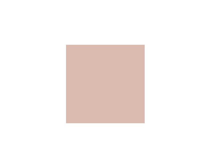 Interface Tan SW6059 Paint by Sherwin-Williams - modlar.com