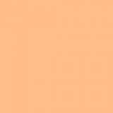 Inventive Orange SW6633 Paint by Sherwin-Williams - modlar.com