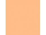 Inventive Orange SW6633 Paint by Sherwin-Williams - modlar.com