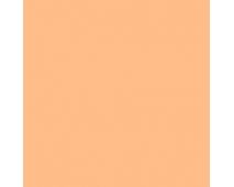 Inventive Orange SW6633 Paint by Sherwin-Williams - modlar.com