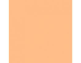Inventive Orange SW6633 Paint by Sherwin-Williams - modlar.com