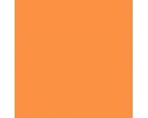 Invigorate SW6886 Paint by Sherwin-Williams - modlar.com