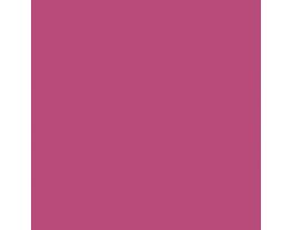 Juneberry SW6573 Paint by Sherwin-Williams - modlar.com