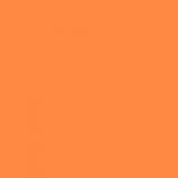 Knockout Orange SW6885 Paint by Sherwin-Williams - modlar.com