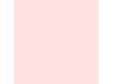 Koral Kicks SW6610 Paint by Sherwin-Williams - modlar.com