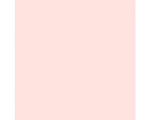 Koral Kicks SW6610 Paint by Sherwin-Williams - modlar.com