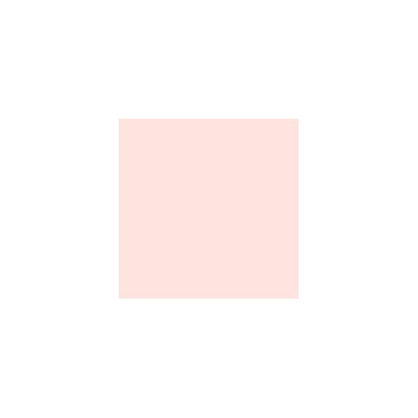 Koral Kicks SW6610 Paint by Sherwin-Williams - modlar.com