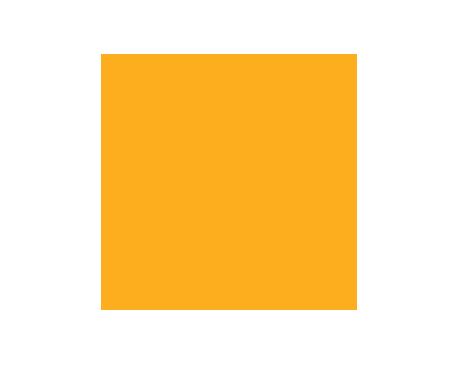 Mandarin SW6891 Paint by Sherwin-Williams - modlar.com