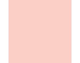 Mellow Coral SW6324 Paint by Sherwin-Williams - modlar.com