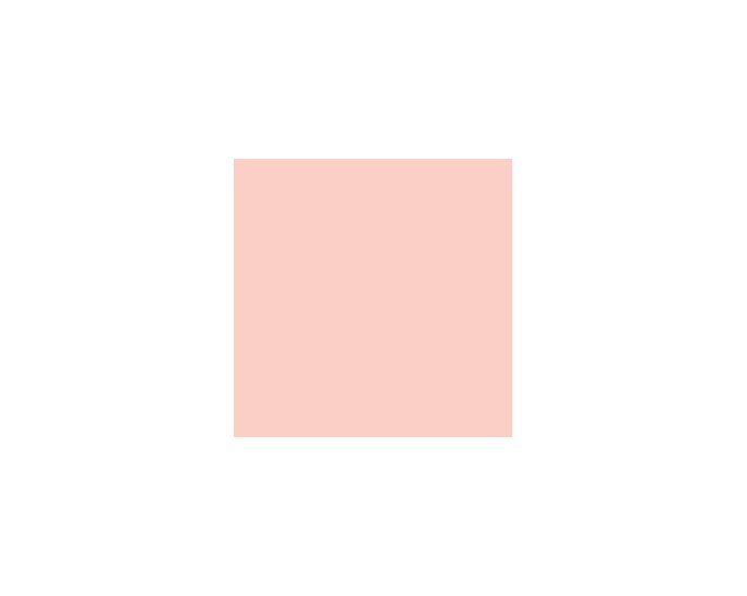 Mellow Coral SW6324 Paint by Sherwin-Williams - modlar.com