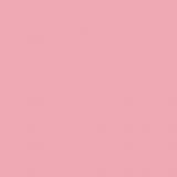 Memorable Rose SW6311 Paint by Sherwin-Williams - modlar.com