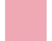 Memorable Rose SW6311 Paint by Sherwin-Williams - modlar.com