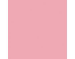 Memorable Rose SW6311 Paint by Sherwin-Williams - modlar.com