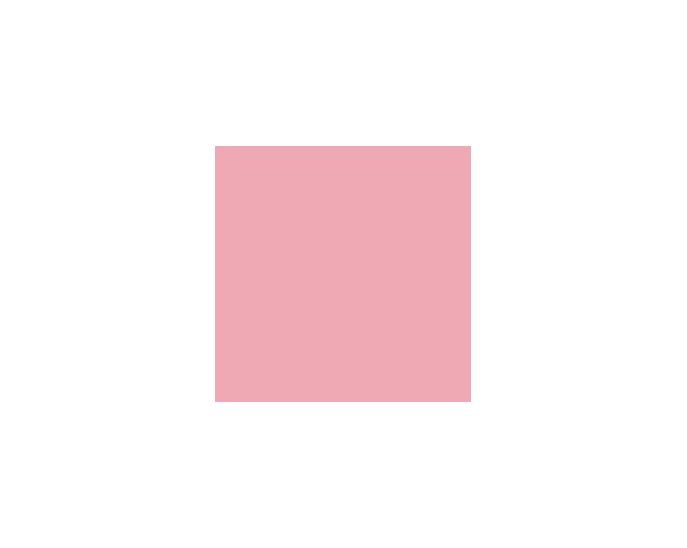 Memorable Rose SW6311 Paint by Sherwin-Williams - modlar.com