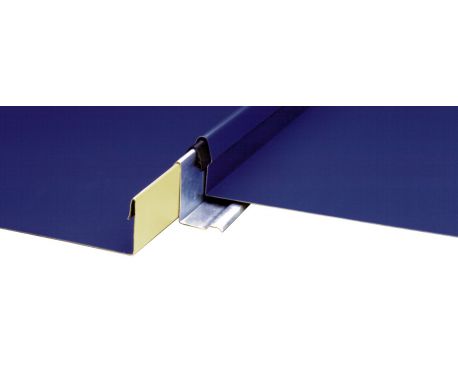 Berridge Cee-Lock Panel - modlar.com