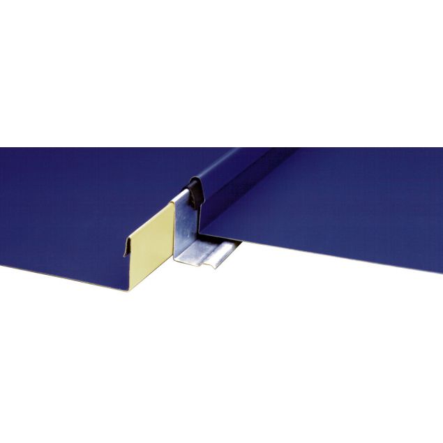 Berridge Cee-Lock Panel - modlar.com