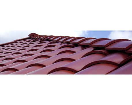 Berridge Bermuda Roof Panel - modlar.com