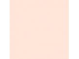 Naive Peach SW6631 Paint by Sherwin-Williams - modlar.com