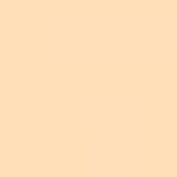 Orange Blast SW6646 Paint by Sherwin-Williams - modlar.com