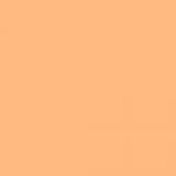 Outgoing Orange SW6641 Paint by Sherwin-Williams - modlar.com