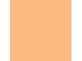Outgoing Orange SW6641 Paint by Sherwin-Williams - modlar.com