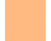 Outgoing Orange SW6641 Paint by Sherwin-Williams - modlar.com