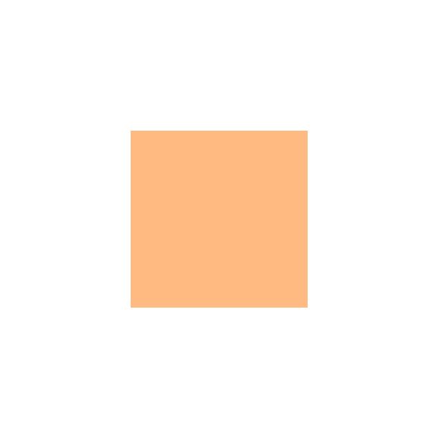 Outgoing Orange SW6641 Paint by Sherwin-Williams - modlar.com