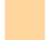 Papaya SW6661 Paint by Sherwin-Williams - modlar.com