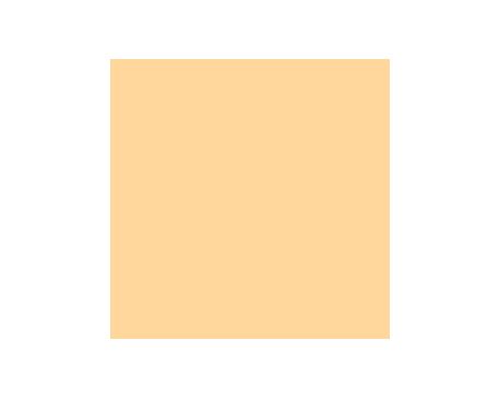 Papaya SW6661 Paint by Sherwin-Williams - modlar.com