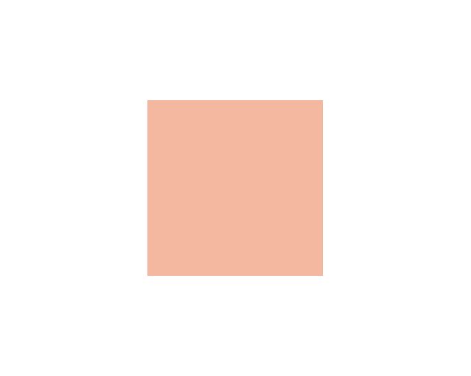 Persimmon SW6339 Paint by Sherwin-Williams - modlar.com