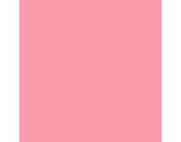 Pink Flamingo SW0080 Paint by Sherwin-Williams - modlar.com