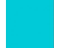 Calypso SW6950 Paint by Sherwin-Williams - modlar.com