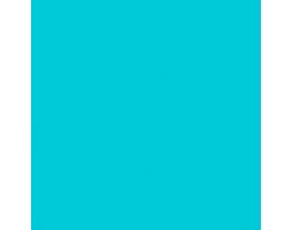 Calypso SW6950 Paint by Sherwin-Williams - modlar.com