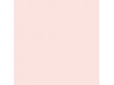 Pink Shadow SW0070 Paint by Sherwin-Williams - modlar.com