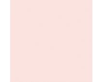 Pink Shadow SW0070 Paint by Sherwin-Williams - modlar.com
