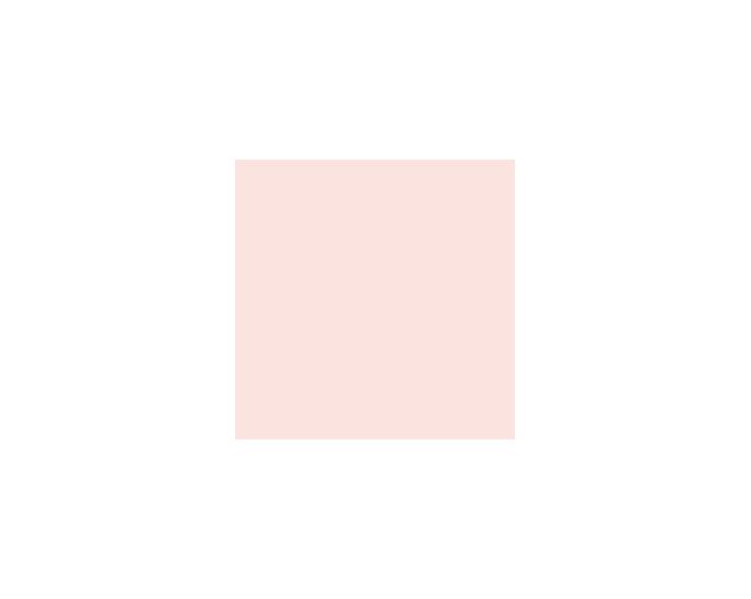 Pink Shadow SW0070 Paint by Sherwin-Williams - modlar.com