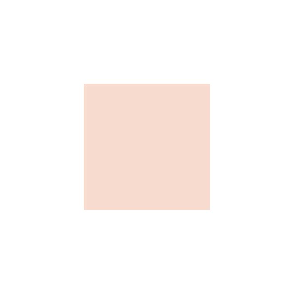 Pinky Beige SW0079 Paint by Sherwin-Williams - modlar.com